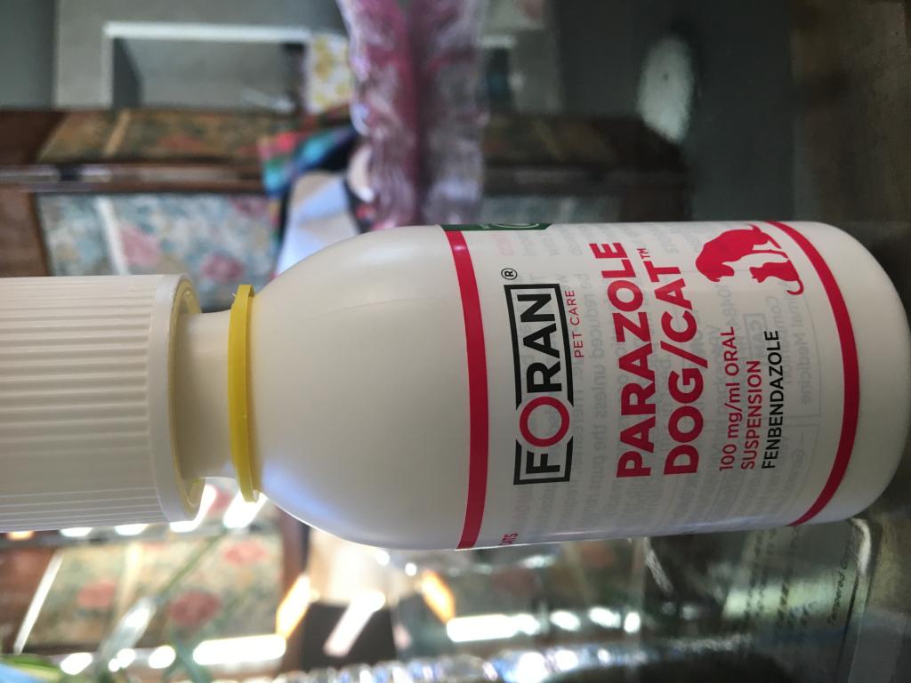 Parazole経口液100mg/mlレビュー｜犬猫ペットのお薬通販うさパラ